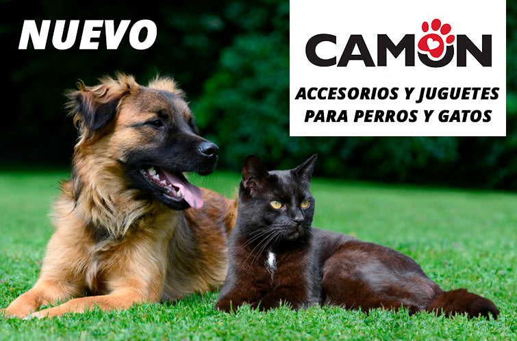 American Pets Panama